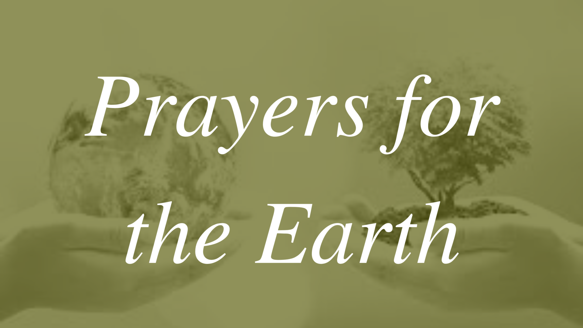 Guided Prayers & Meditations - Mount Olivet Conference & Retreat Center