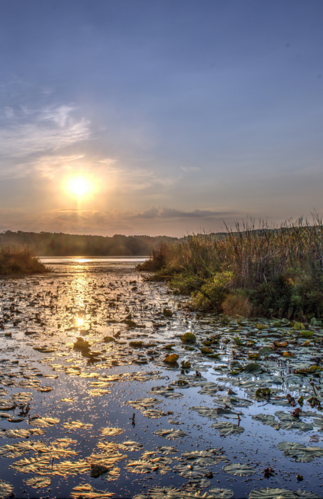 Guided Prayers & Meditations - Mount Olivet